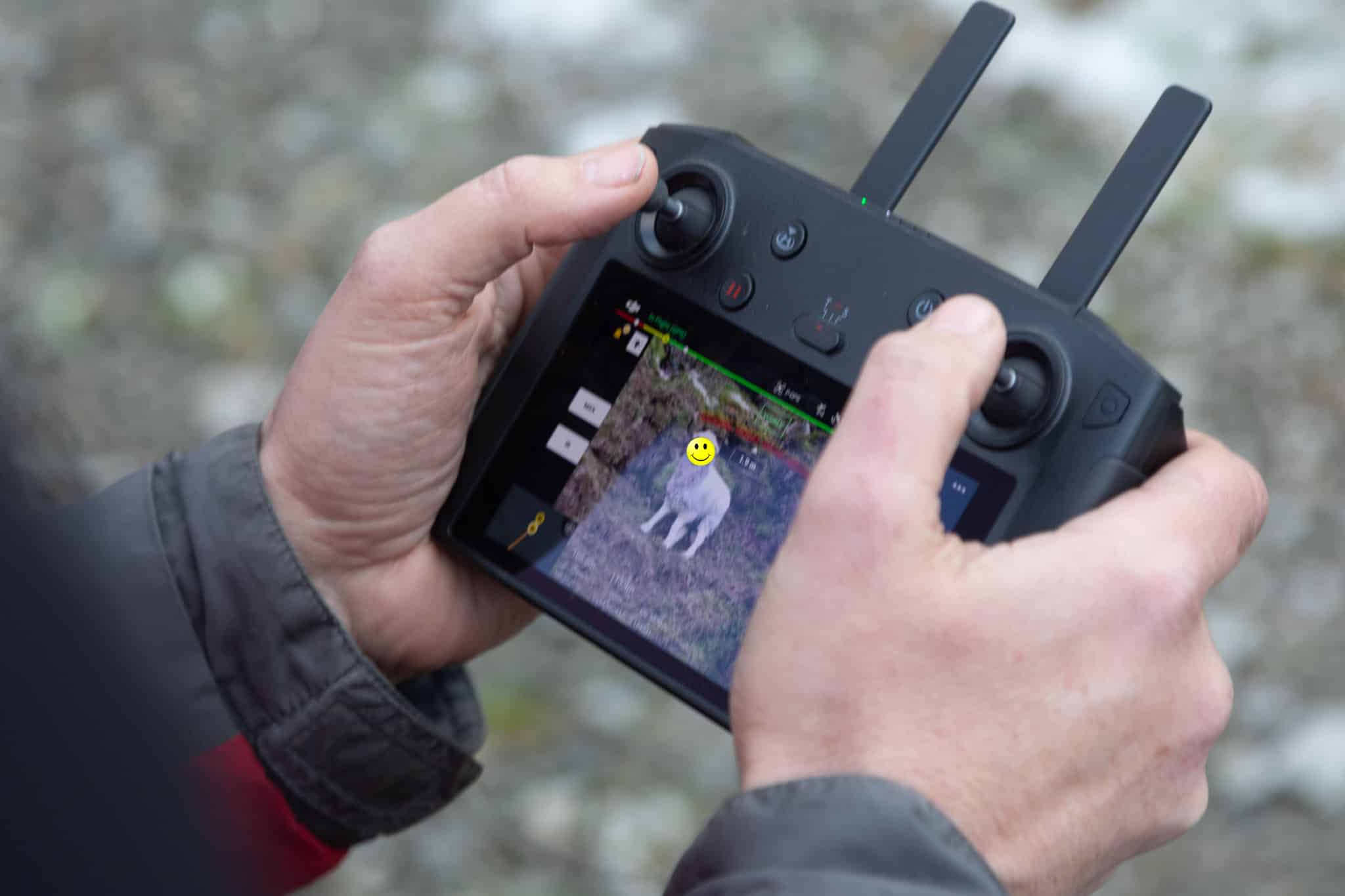 Double sheep rescue - Keswick Mountain Rescue