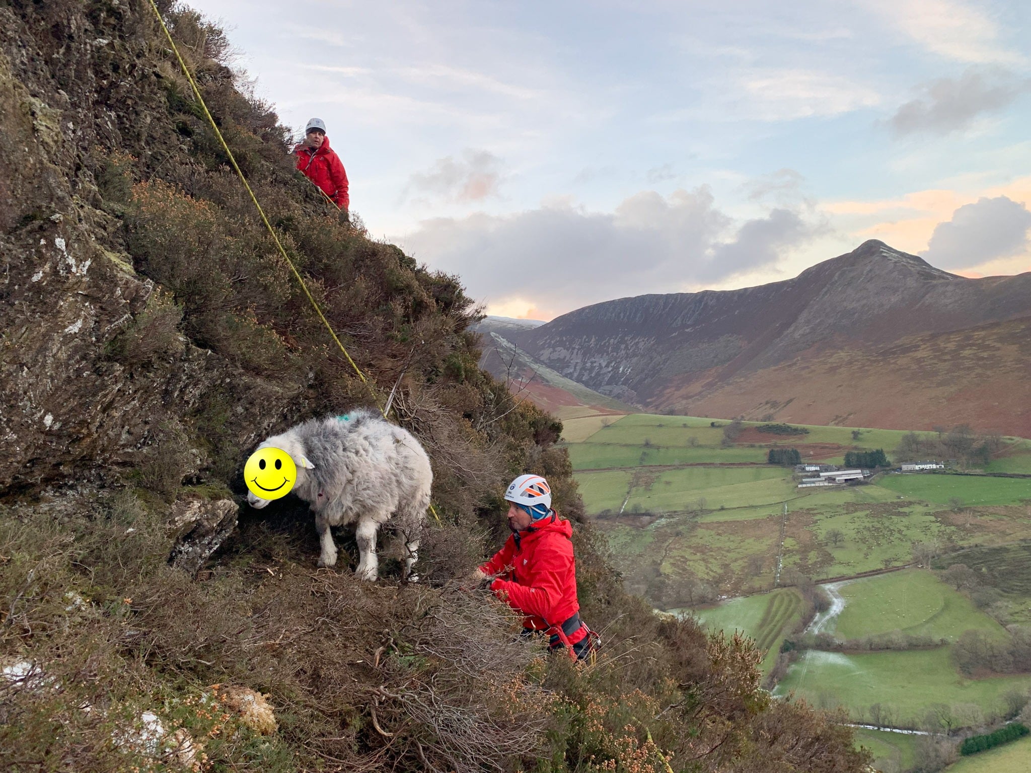 Double sheep rescue - Keswick Mountain Rescue