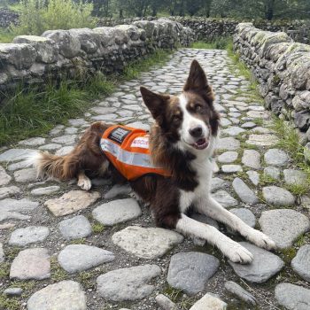 Rescues - Keswick Mountain Rescue